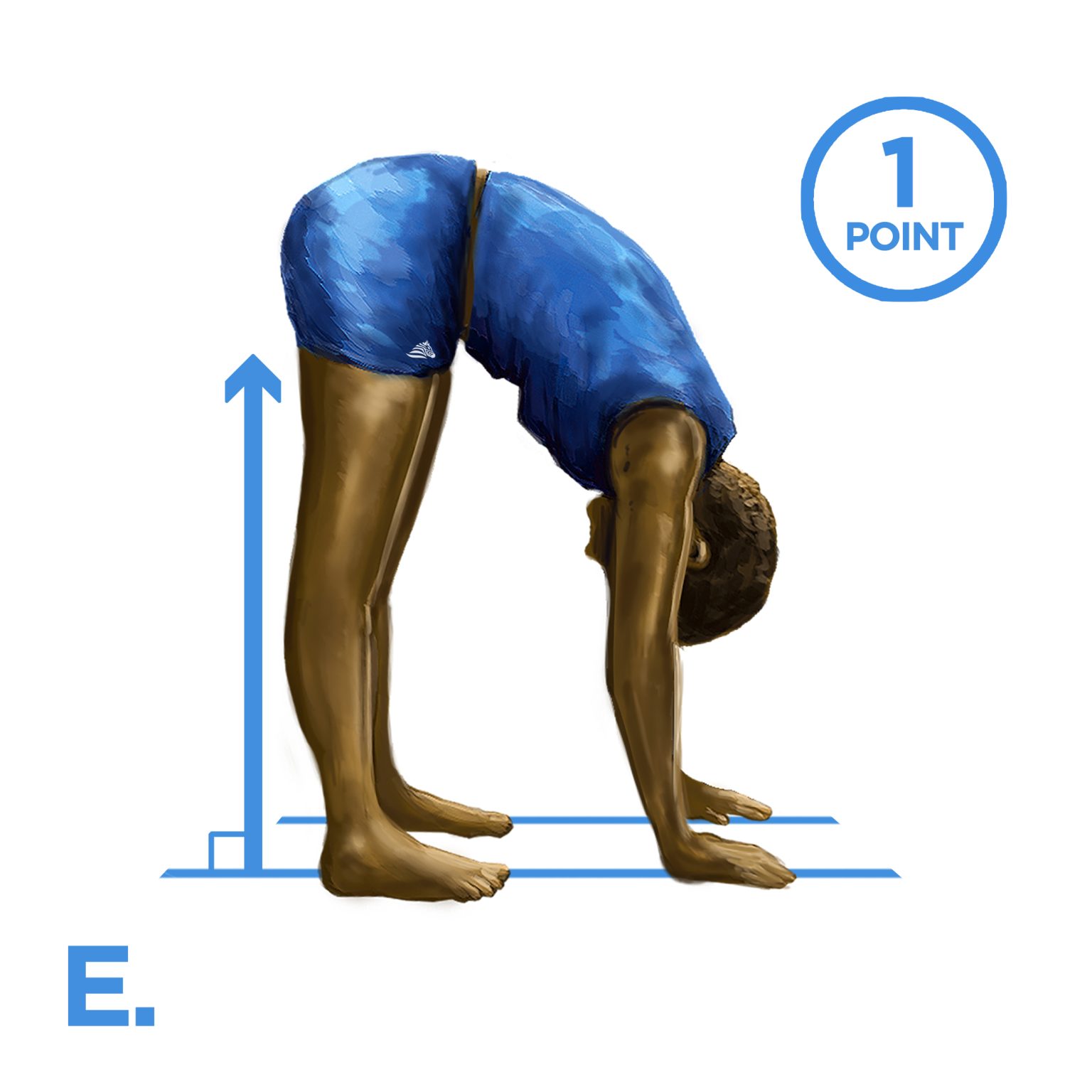 Assessing Joint Hypermobility - The Ehlers Danlos Society