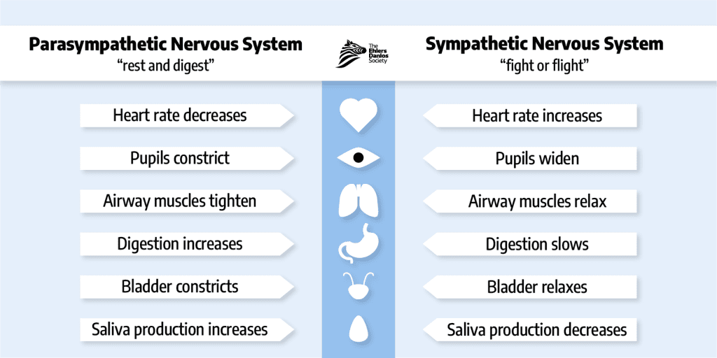 Dysautonomia - The Ehlers Danlos Society